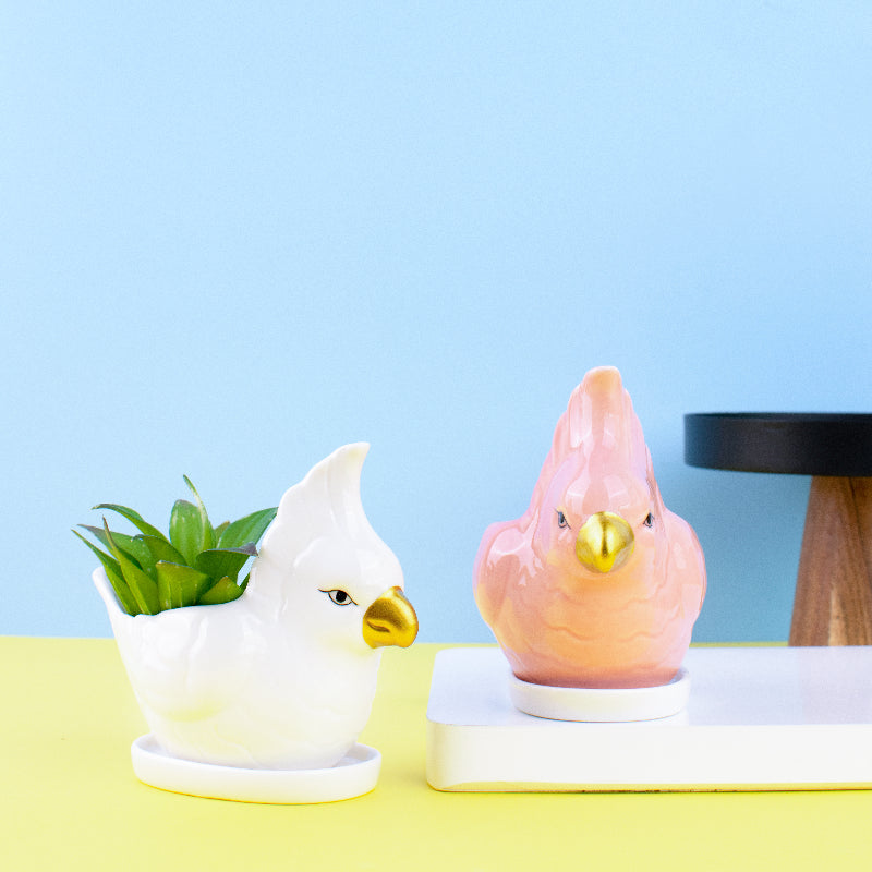 Parrot Ceramic Pot For Plants – The June Shop