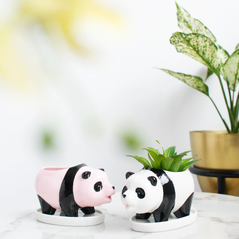 Panda Ceramic Pot For Plants – The June Shop